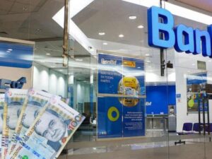 Fondos mutuos BCP 2024: ¿Qué es y cómo funciona?