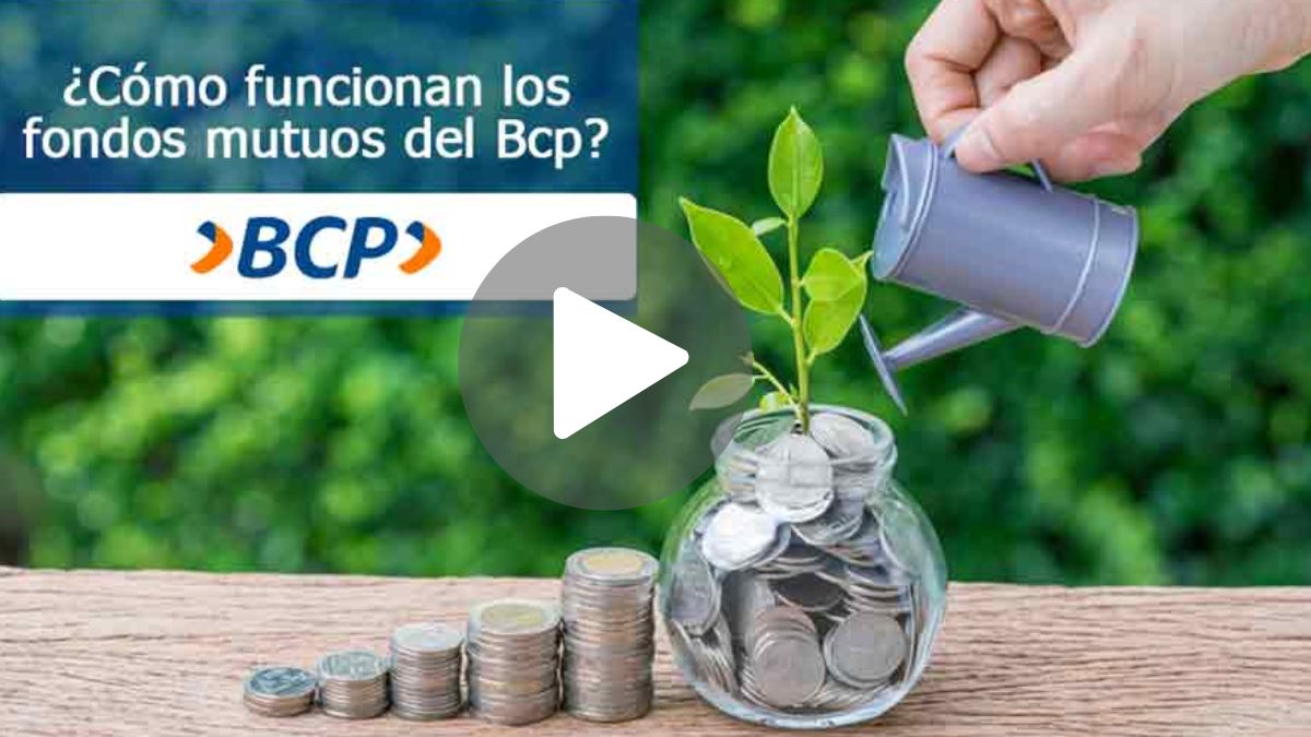 Fondos mutuos BCP 2024: ¿Qué es y cómo funciona?