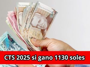 Tiendas afiliadas a cuotas BCP 'Cuotéalo' 2024 LINK