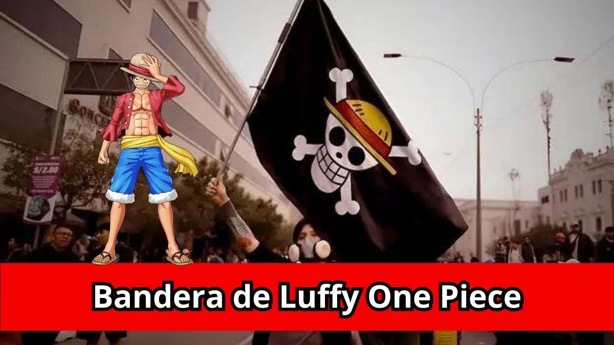 Bandera de One Piece: ¿Qué significa y por qué la usan?- En Vivo Noticias