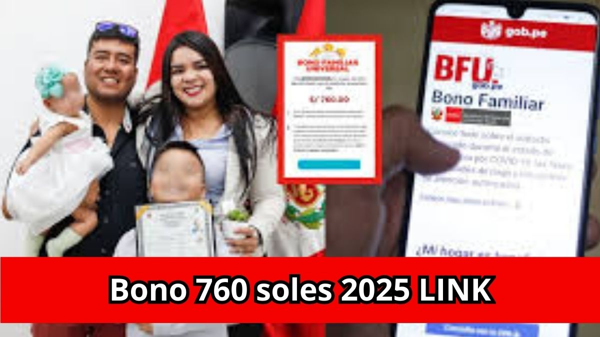 Bono 760 consultar con dni 2025 | LINK oficial - En Vivo Noticias