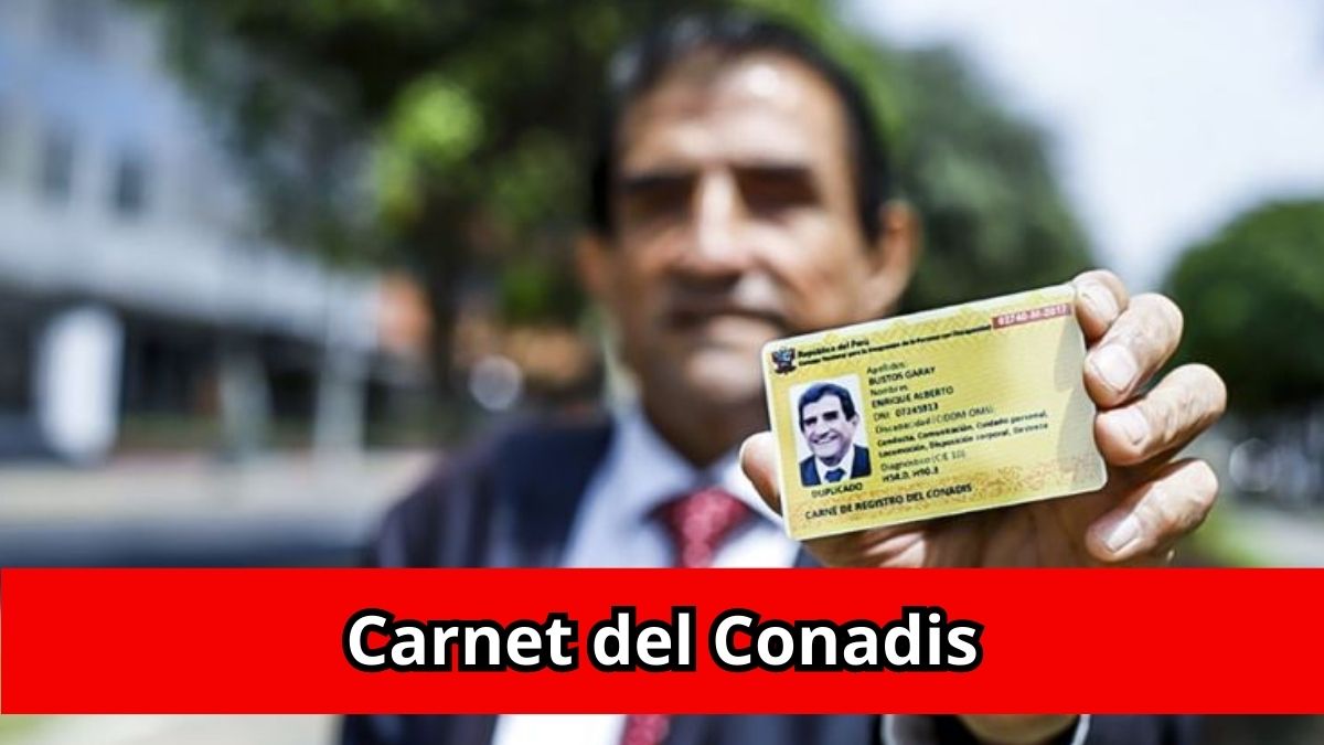 ¿Qué es el carnet de Conadis y para qué sirve?- En Vivo Noticias