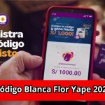 Código Blanca Flor Yape enero 2025: Requisitos - En Vivo Noticias